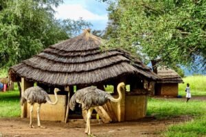 Exploring Arua City: A Guide to Tourism, Culture, and Delicacies ...